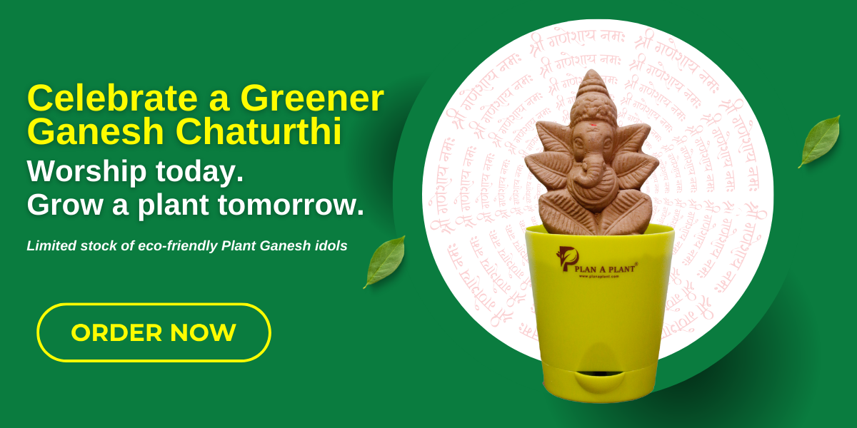 Plant Ganesh — Plan A Plant