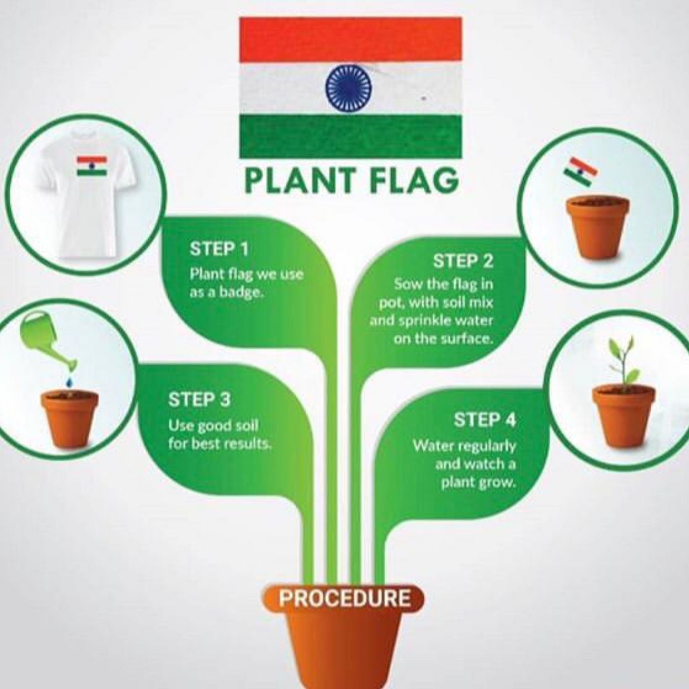 Seed Flags ( Set of 10 ) — Plan A Plant