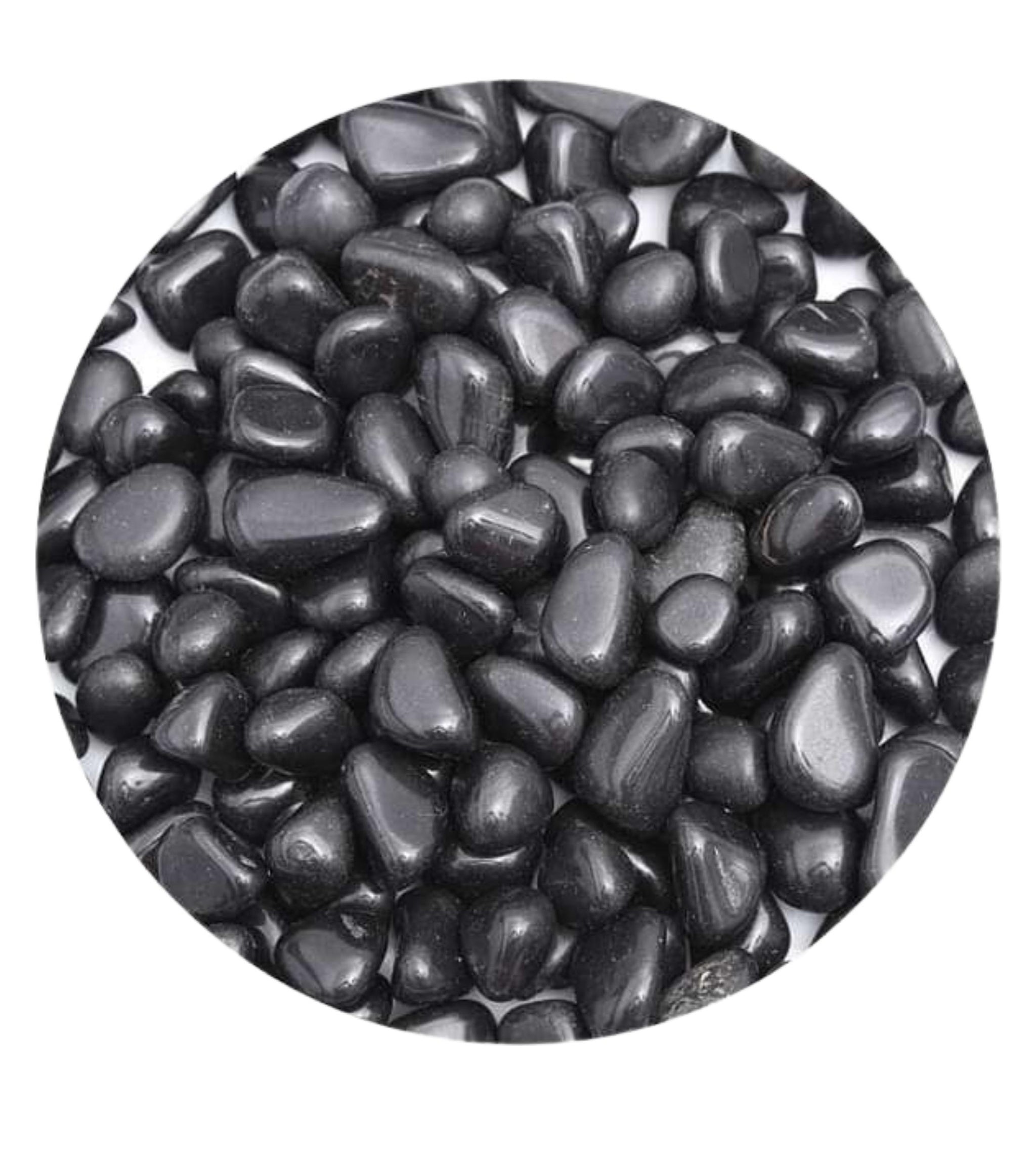 Pebbles — Plan A Plant