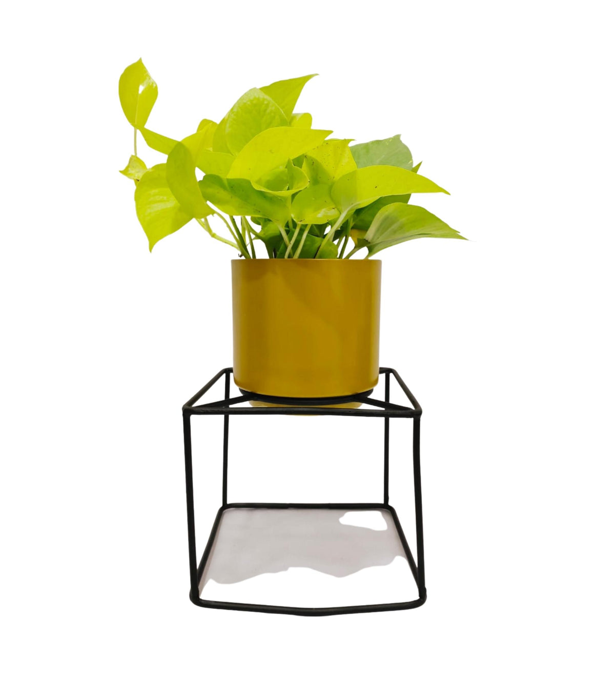 Iron Pot With Square Stand — Plan A Plant