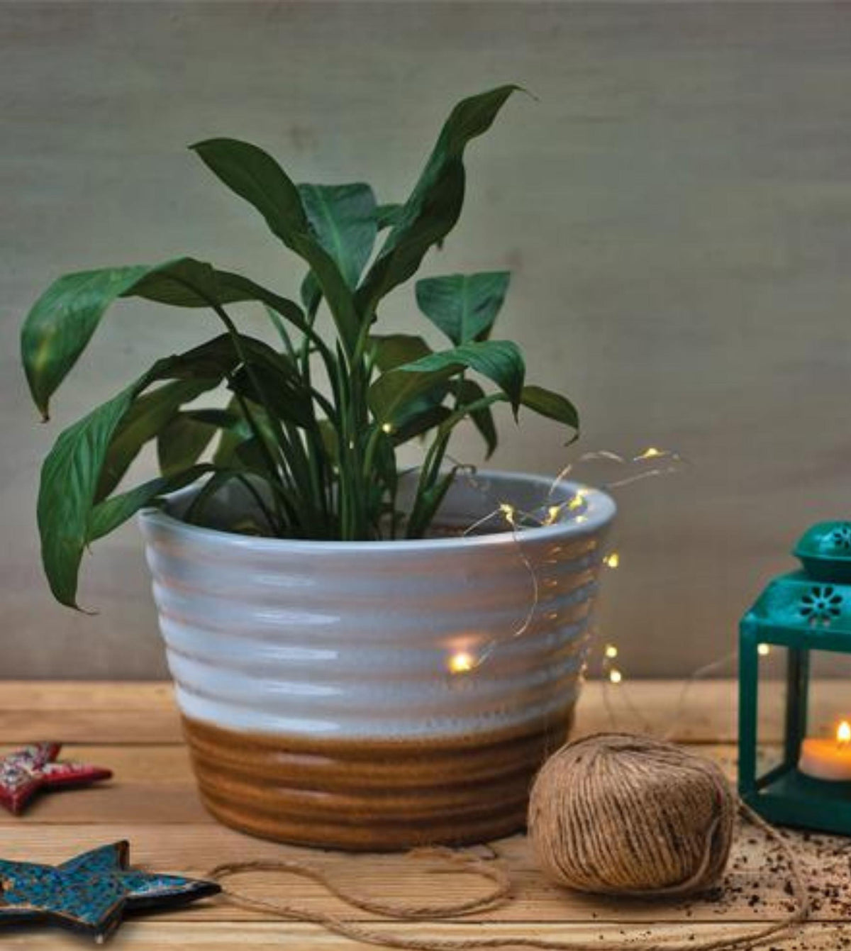 Love Bite - Duet Planter — Plan A Plant