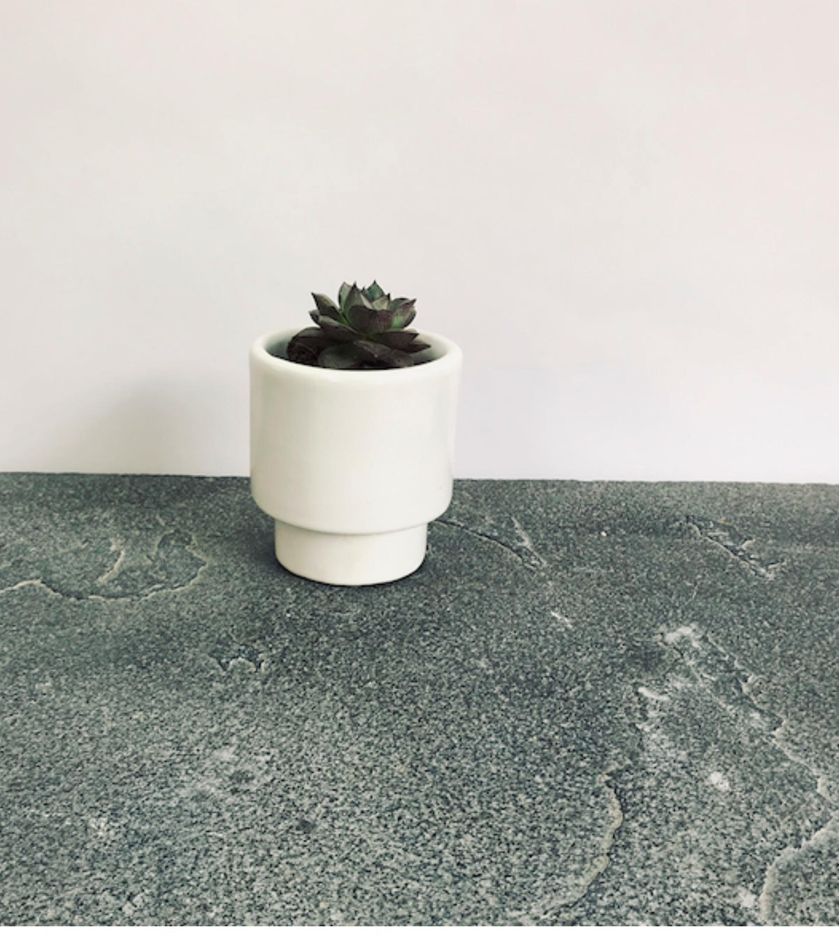 Tattooed Love Planter — Plan A Plant
