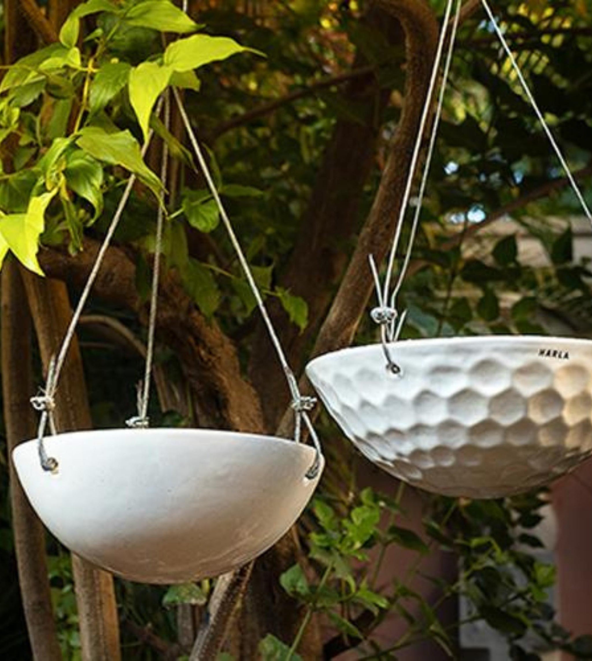 Hanging pots — Plan A Plant