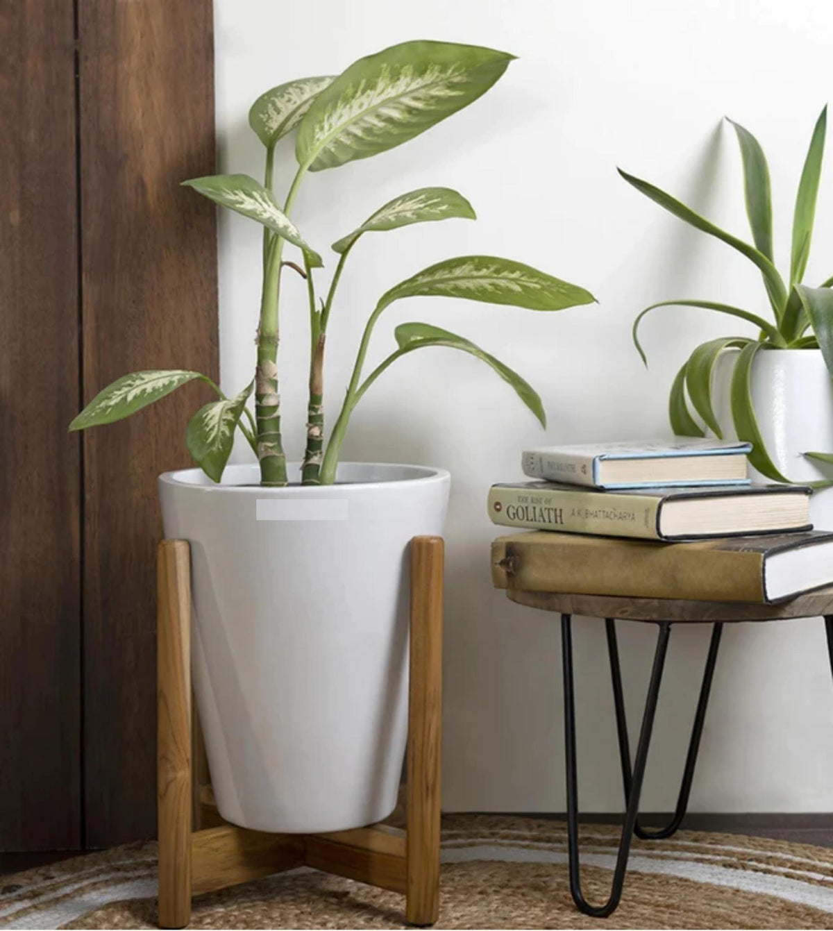 Love Bite Planter - With Wooden Stand — Plan A Plant