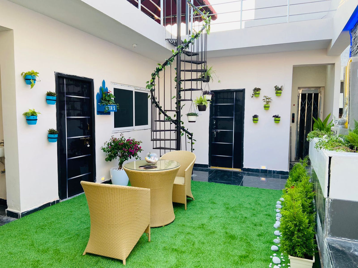 Exclusive designer Balcony pack — Plan A Plant