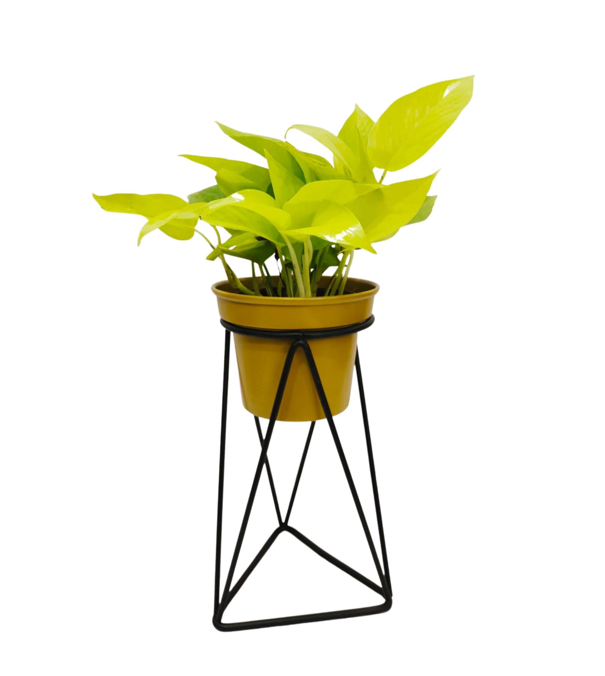 Triangle Stand with Metal Pot — Plan A Plant